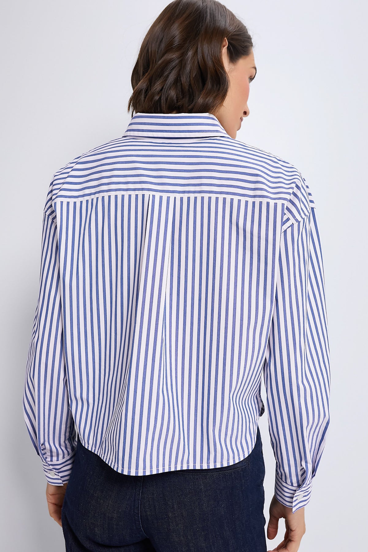 Blue Stripe Cropped Jasper Button Down | Tuckernuck