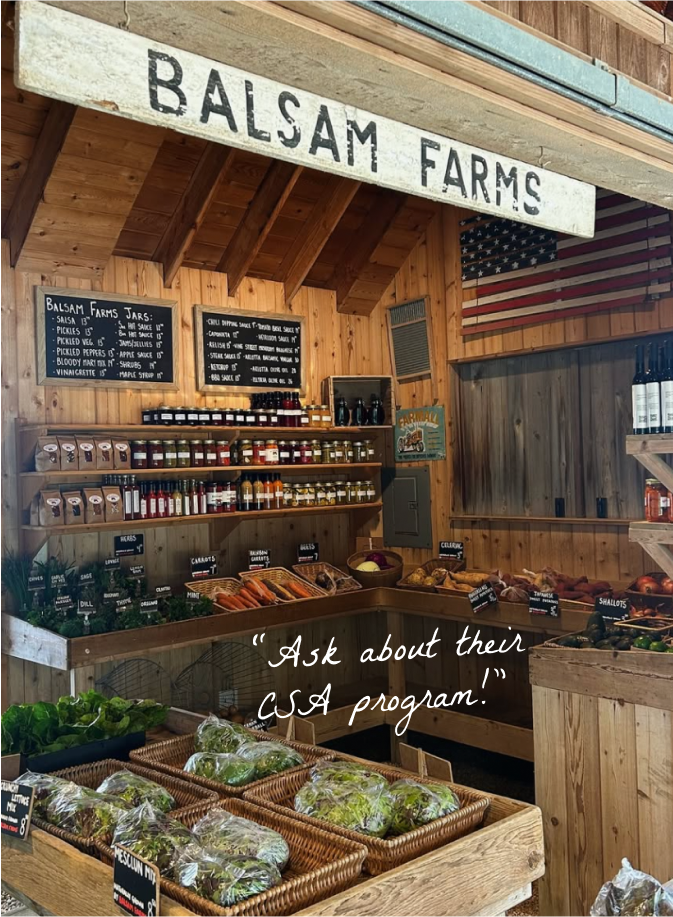 The Hamptons, NY Travel Guide