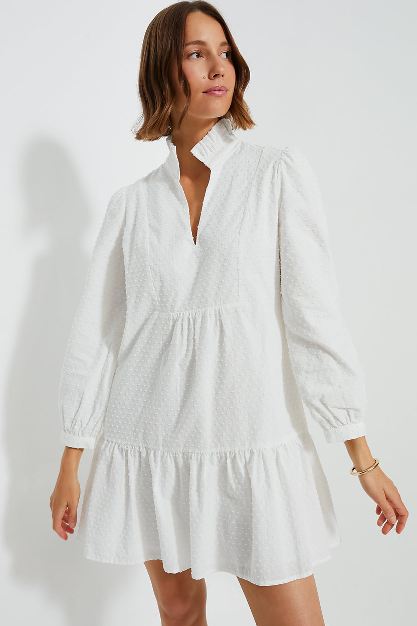 White Swiss Dot Palmerston Dress | Tuckernuck